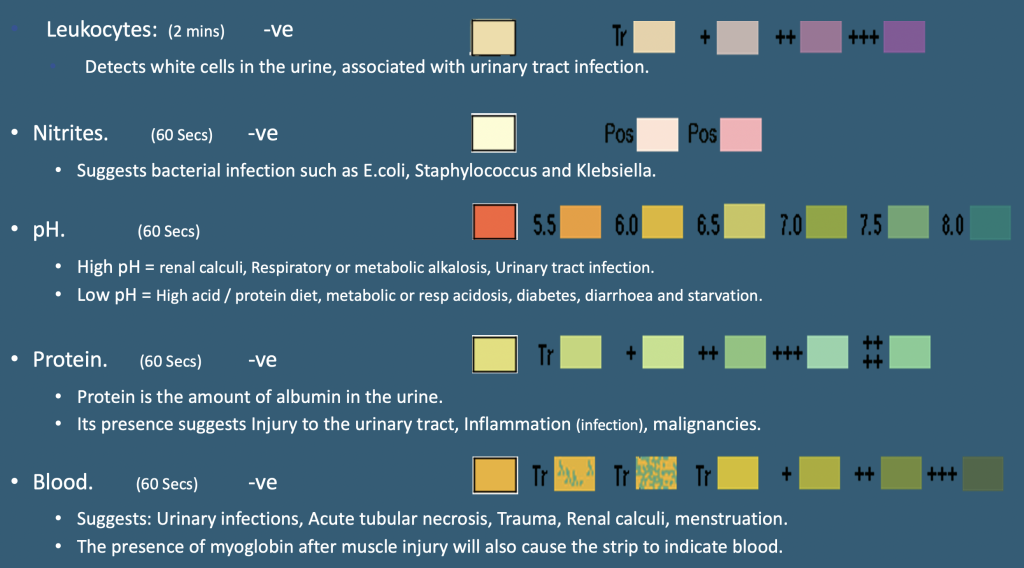 Urinalysis Dip-Stick Testing -(DMT) - Trauma Training