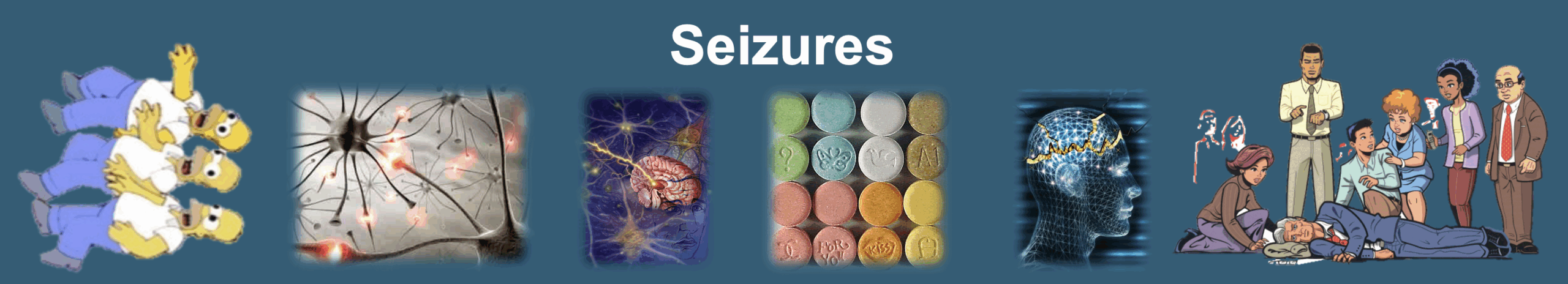 Seizures - (DMT) - Trauma Training